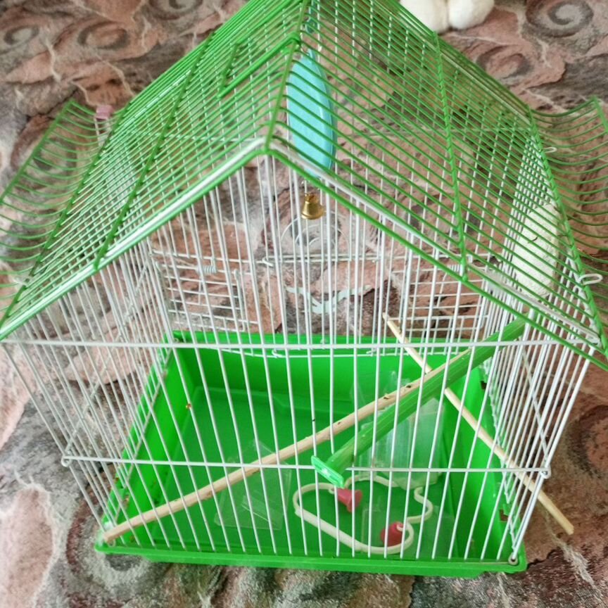 Клетка для попугая