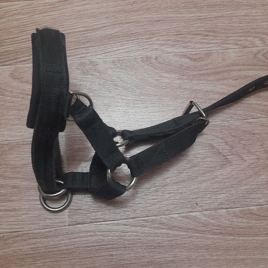 Недоуздок для собак