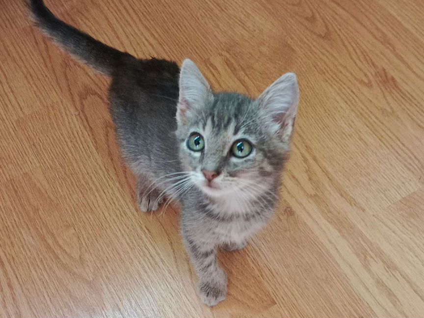 Мальчик ищет дом