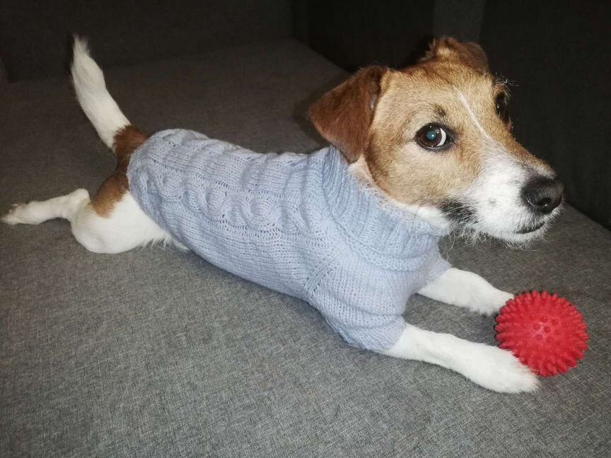Свитер для собаки из кашемира