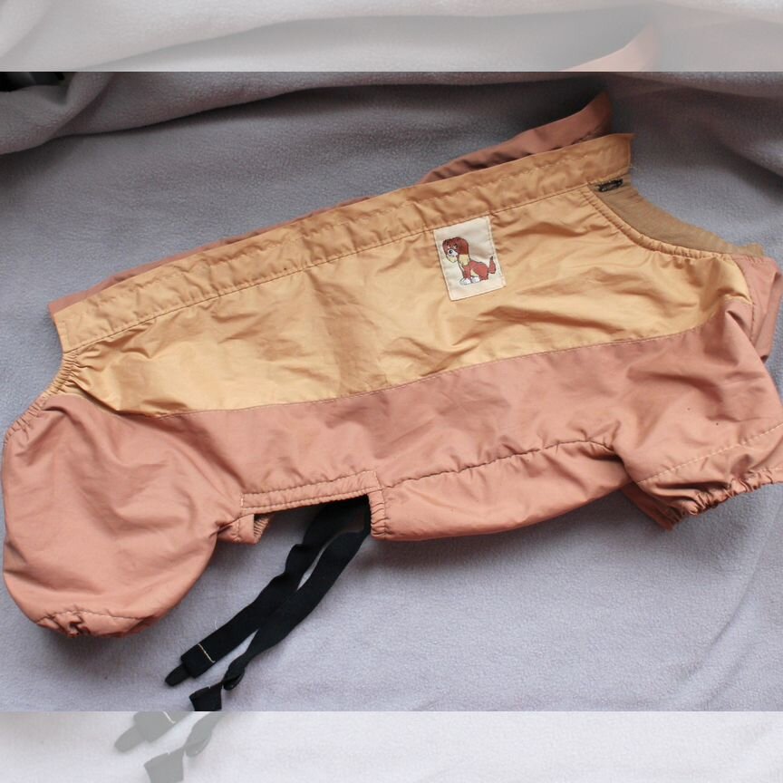 Комбинезоны для таксы мальчика