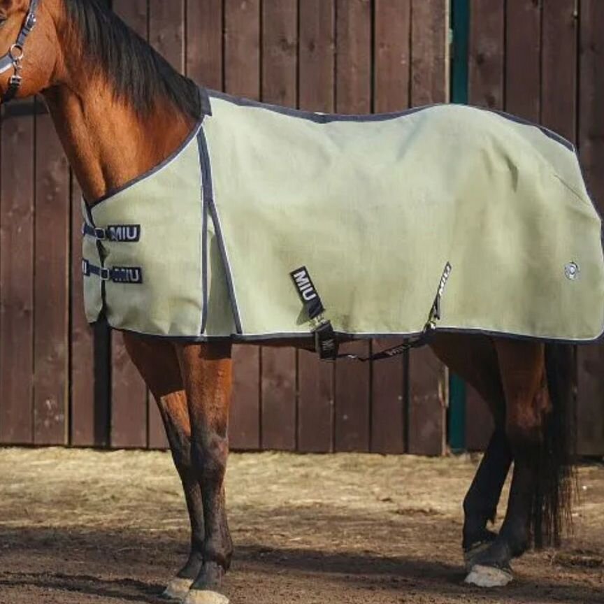 Попона для лошади 135