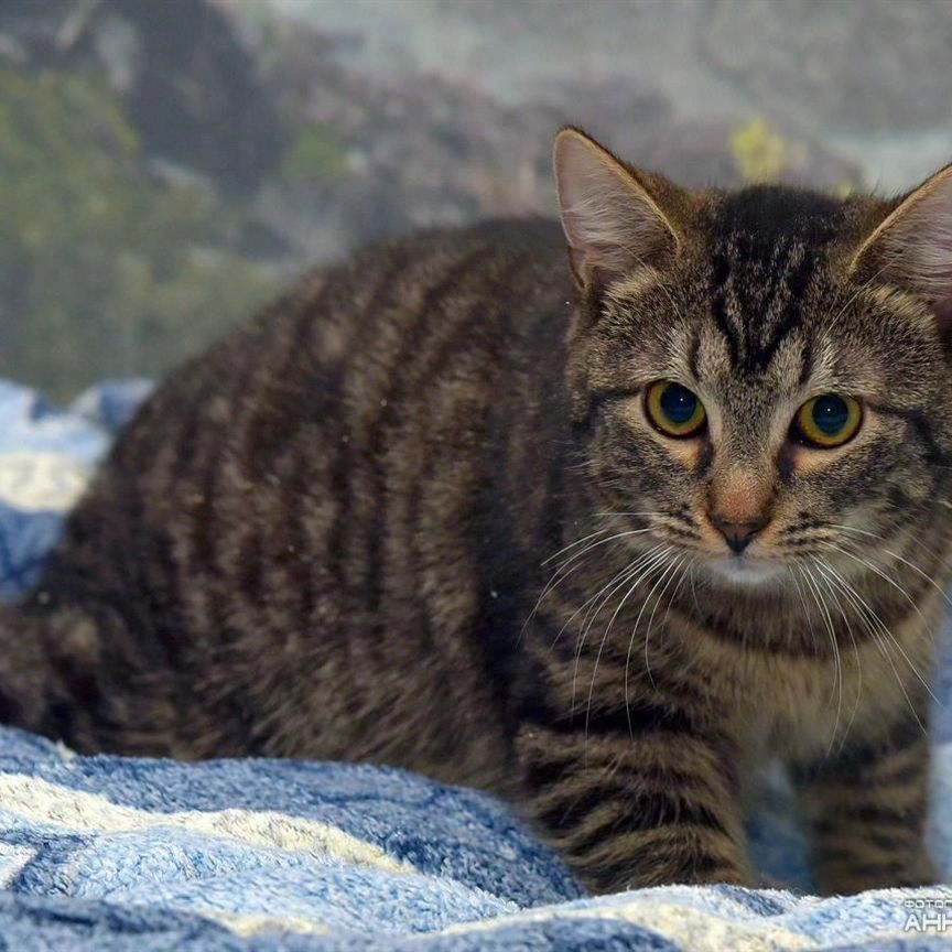 Очень ласковый мальчик 5 месяцев