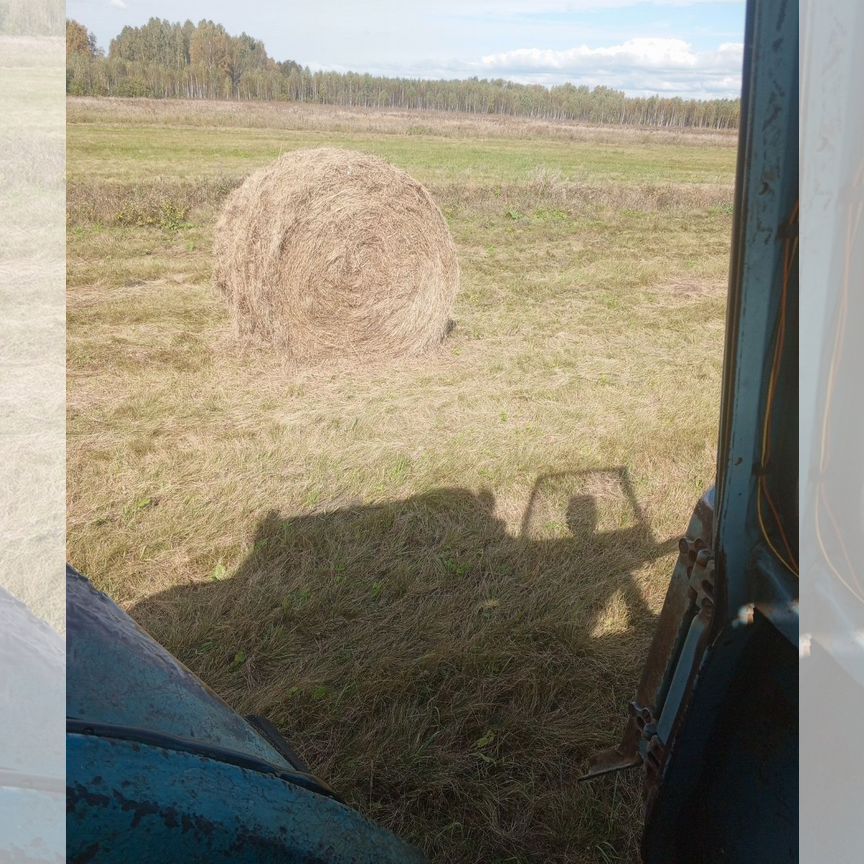 Продам сено в рулонах