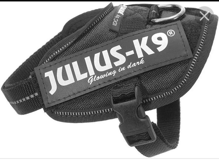 Шлейка для собак julius-K9