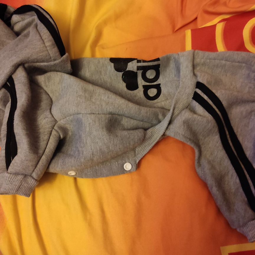 Одежда для собак средних