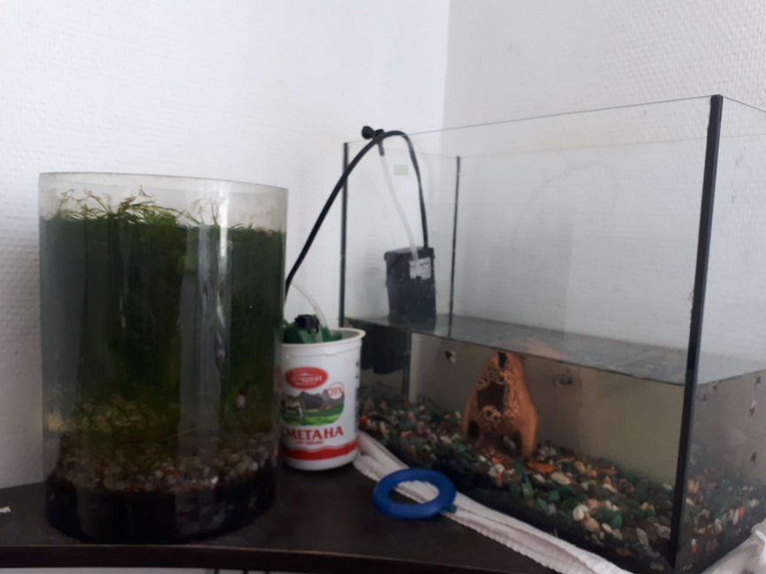 2а аквариума