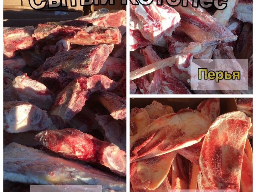 Мясо, обрезь, хрящи для собак