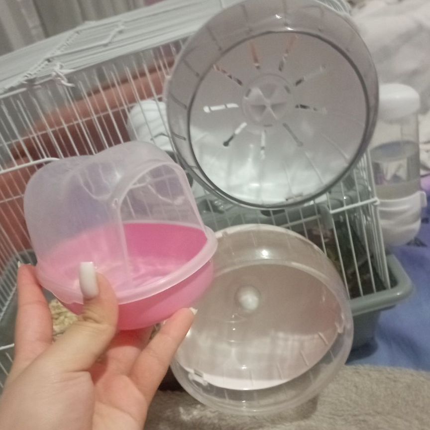 Аксессуары для грызунов