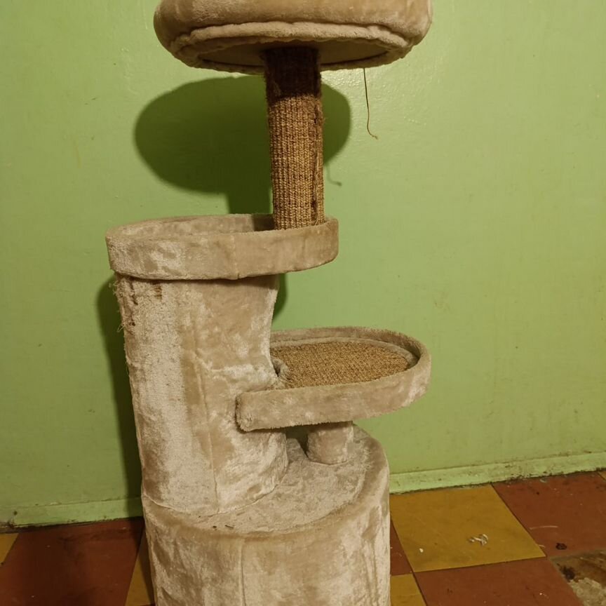 Когдеточка и домик для кошки