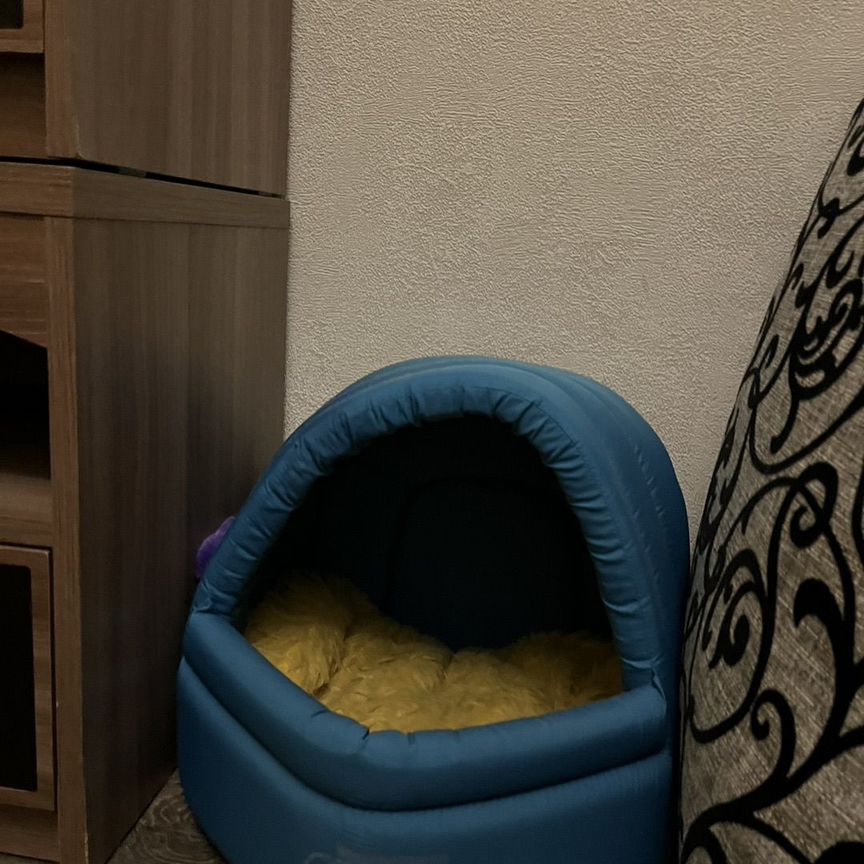 Домик для кошки