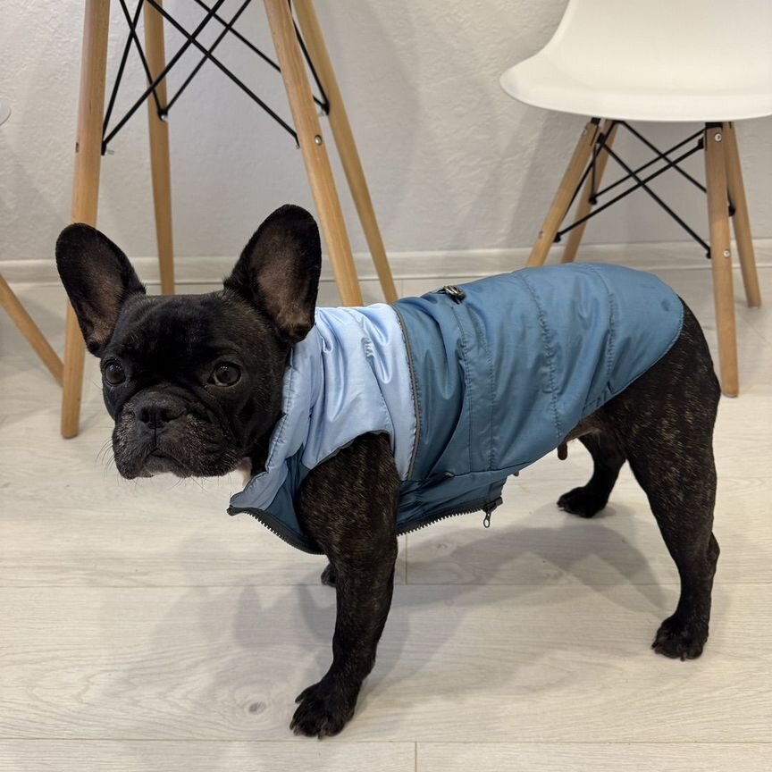 Жилетка для собак мелких и средних пород Костюм