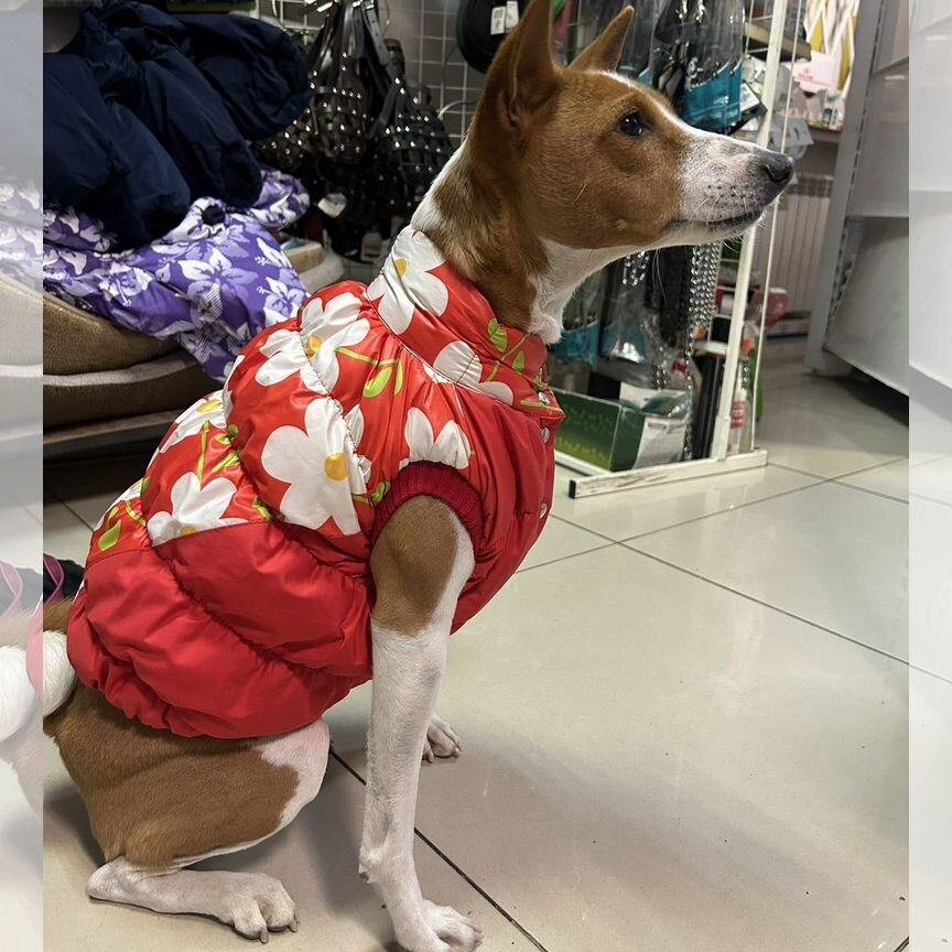 Теплый жилет для небольшой собаки