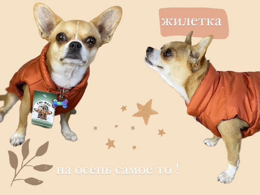 Жилет гю-вас «Тиго» для собак (Беларусь)