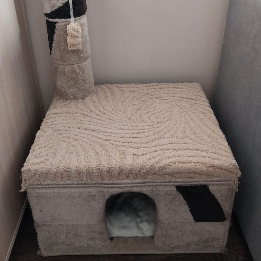 Когтеточка домик для кошки бесплатно бу