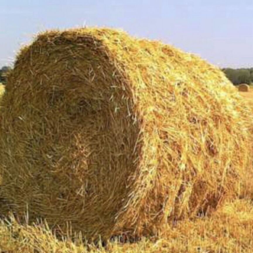 Сено в тюках