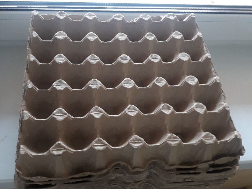 Клетки для куриных яиц