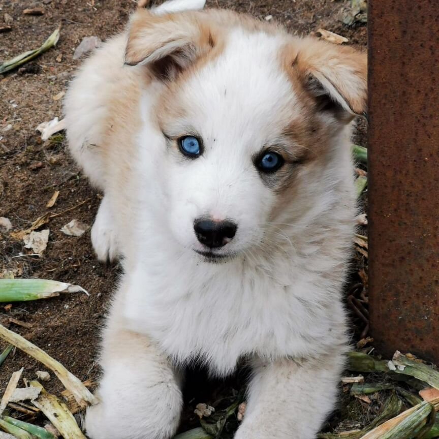 Прекрасные детки добрые руки