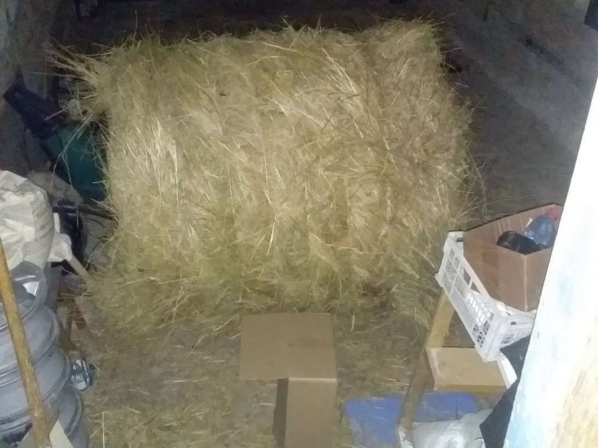 Сено,солома