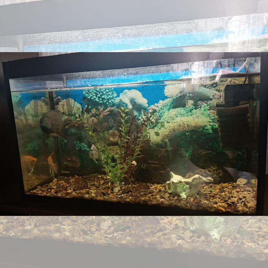Аквариум на 140 литров