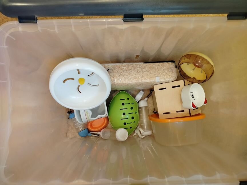 Принадлежности для хомяков