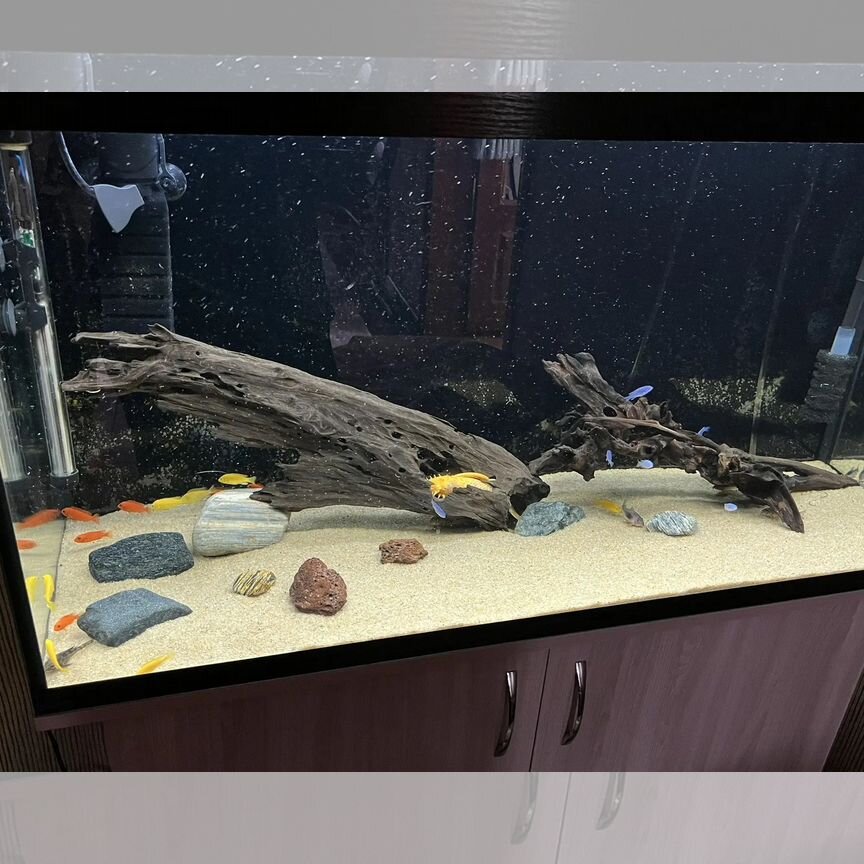 Коряги для аквариума