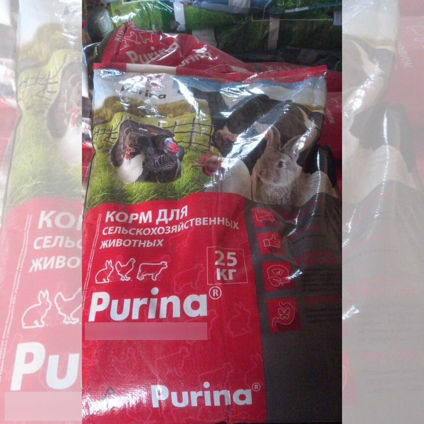 Бмвк. Корм пурина. Премиксы