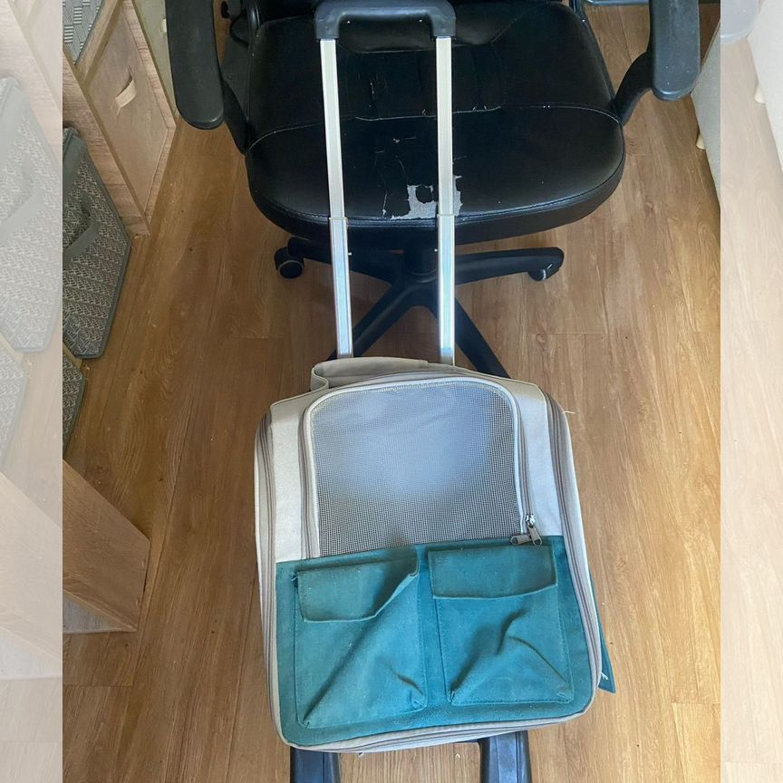 Рюкзак-тележка для путешествий с животными