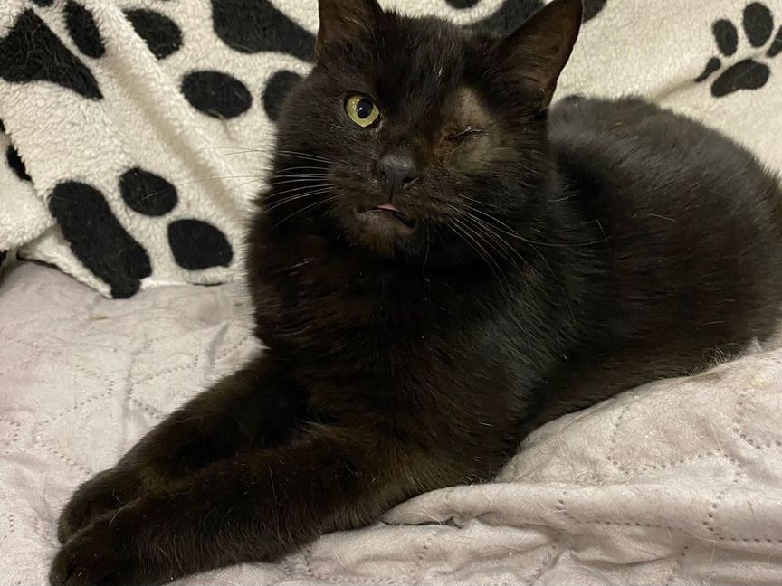 Любава ищет свою семью