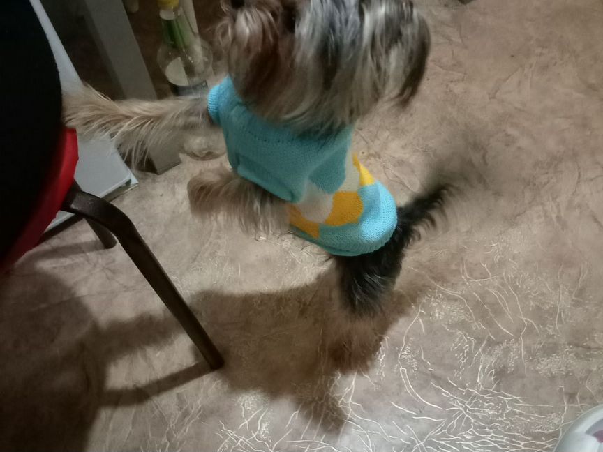 Йорчик вязка