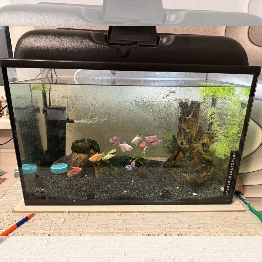 Аквариум с рыбками