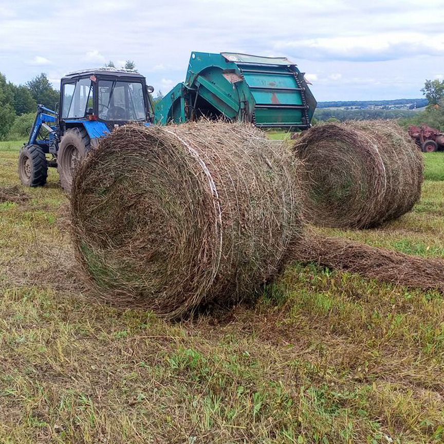 Продам сено в рулонах луговое