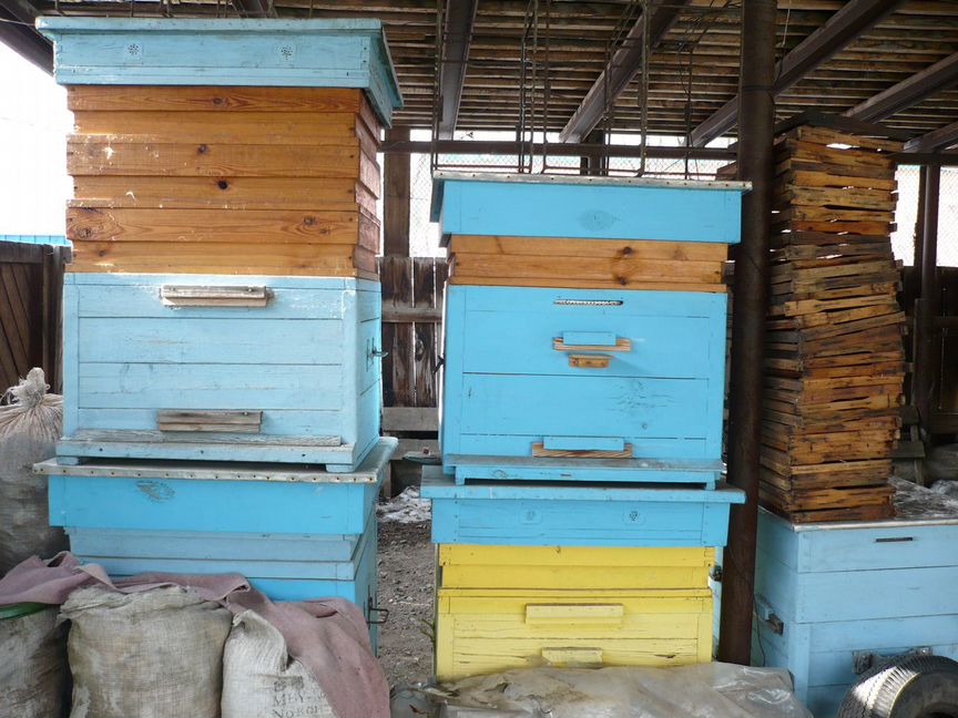 Ульи. пчелоинвентарь