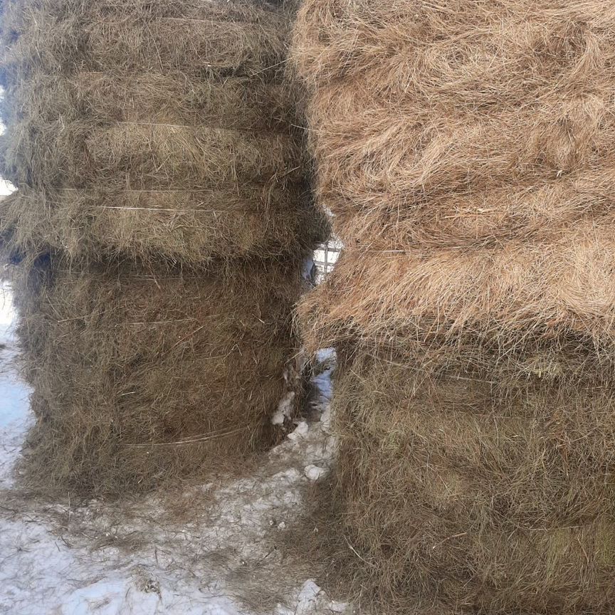 Продам сено, рулон 450 с   кг