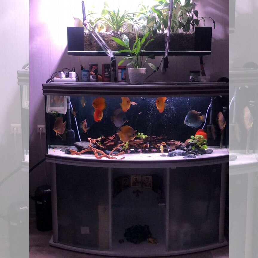 Аквариум aquatlantis 450л