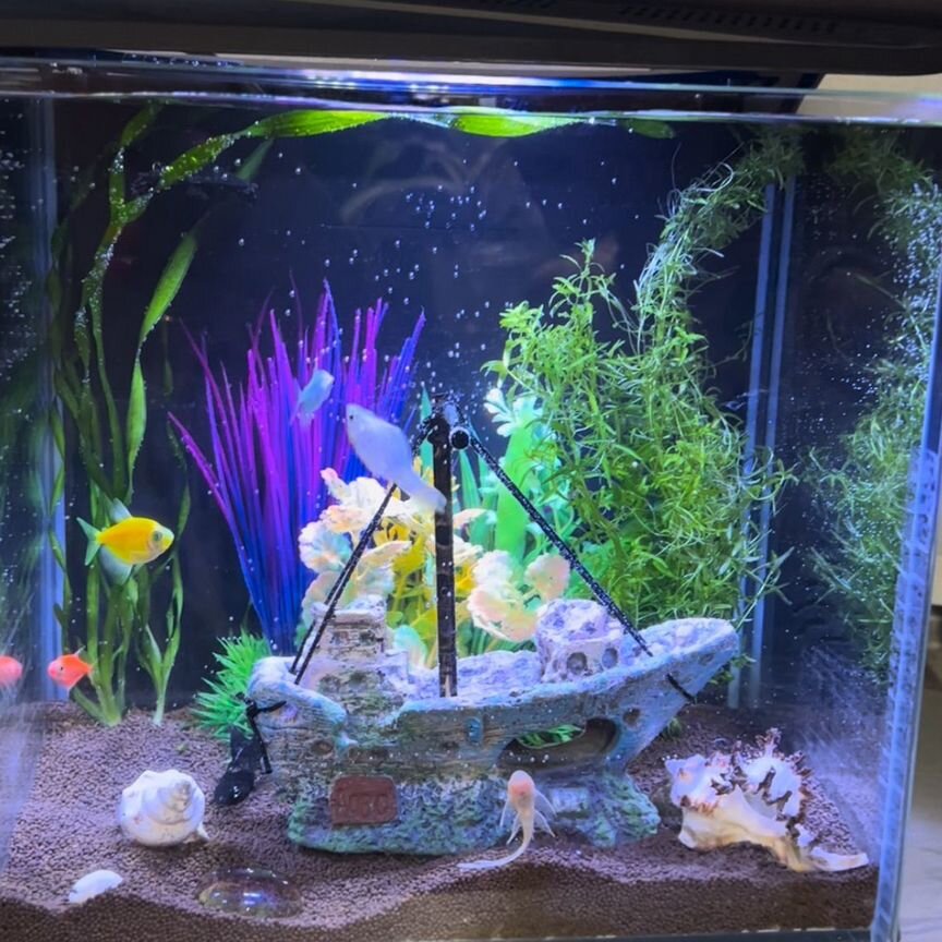 Аквариум Tetra Silhouette LED