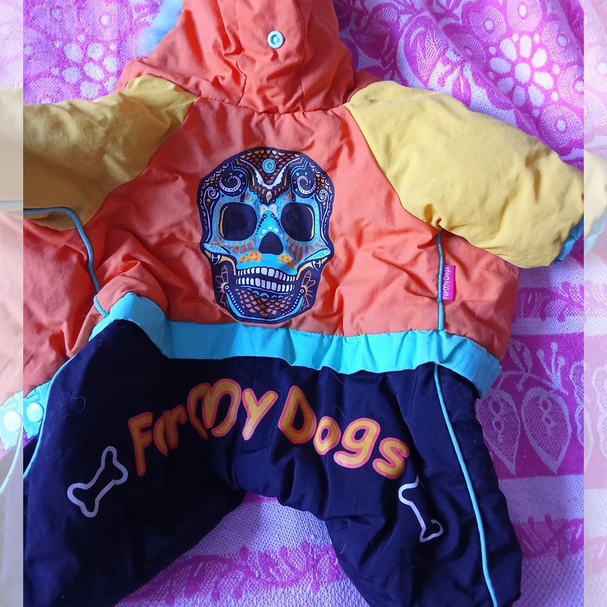 Одежда для маленьких собак