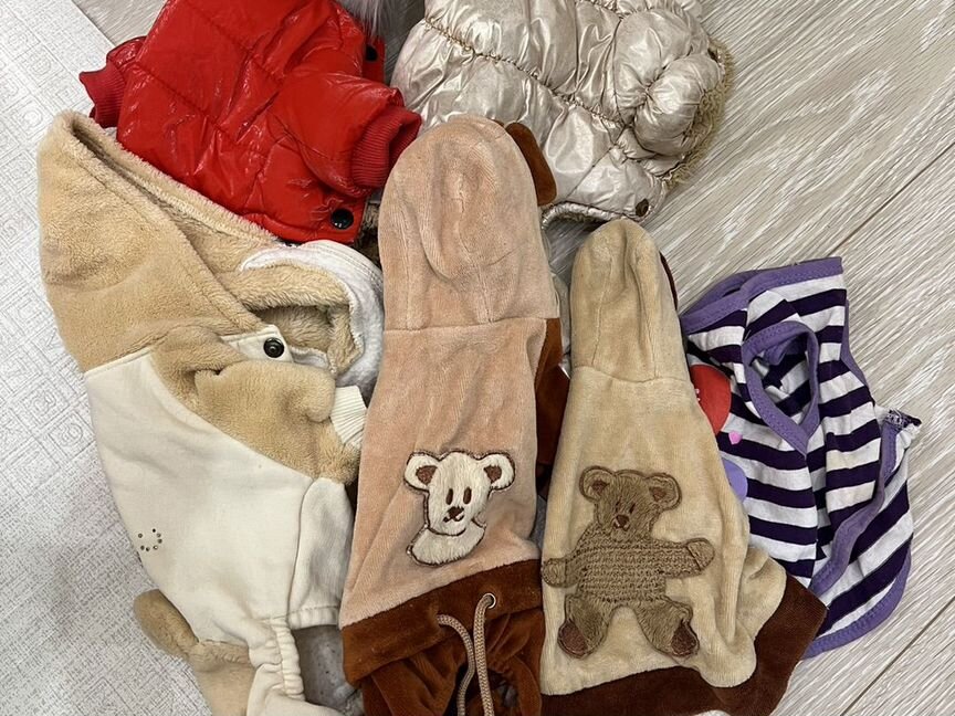 Одежда для собак