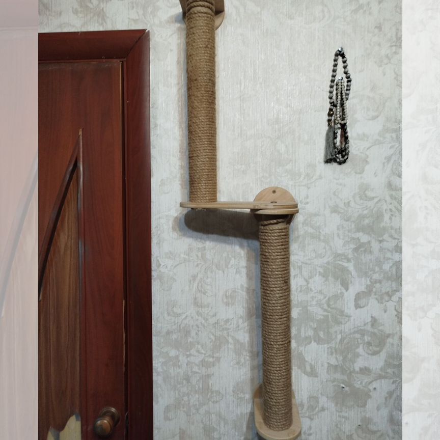 Когтеточка для кота