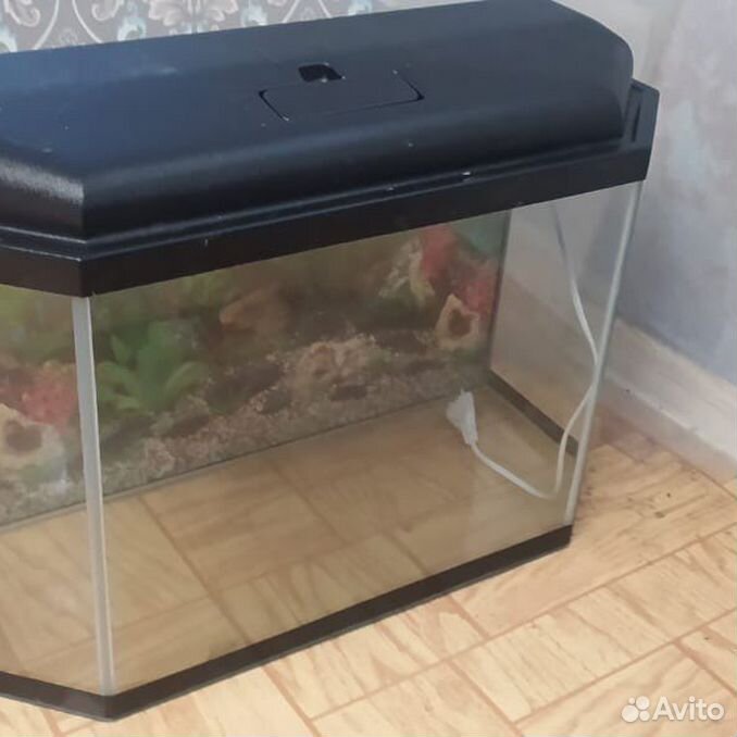 Аквариум40л+декор+компрессор