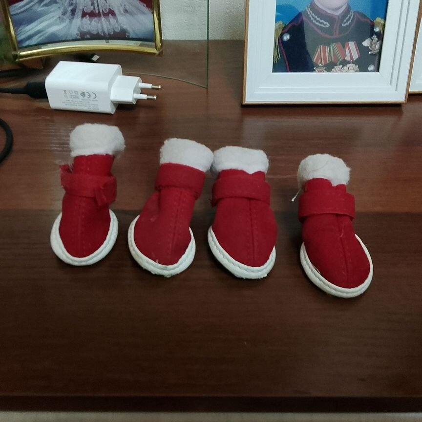 Ботинки для животных