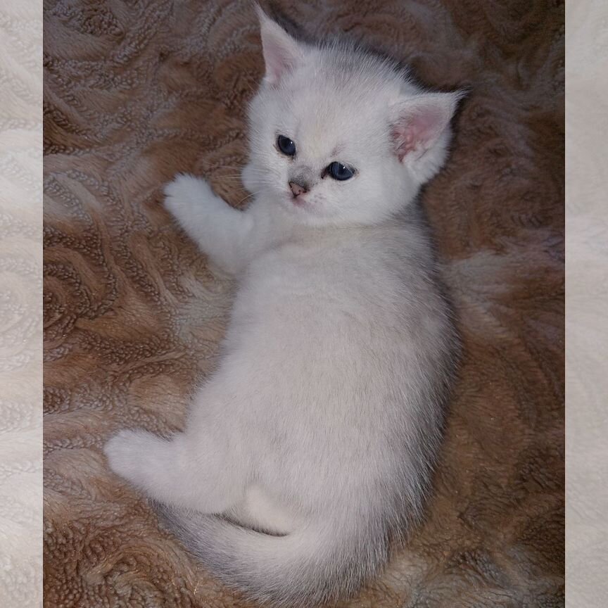 Очаровательная малышка