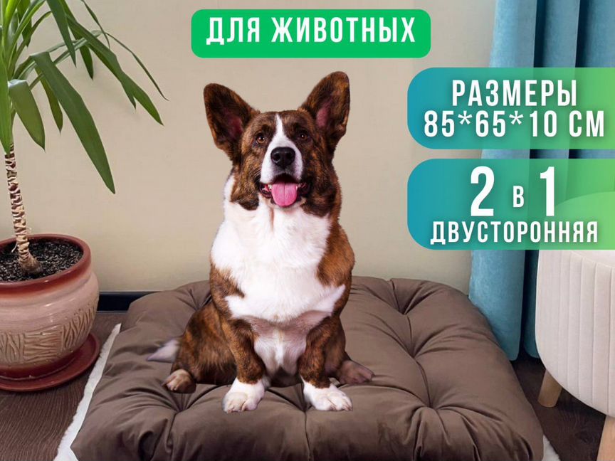 Лежанка для собак