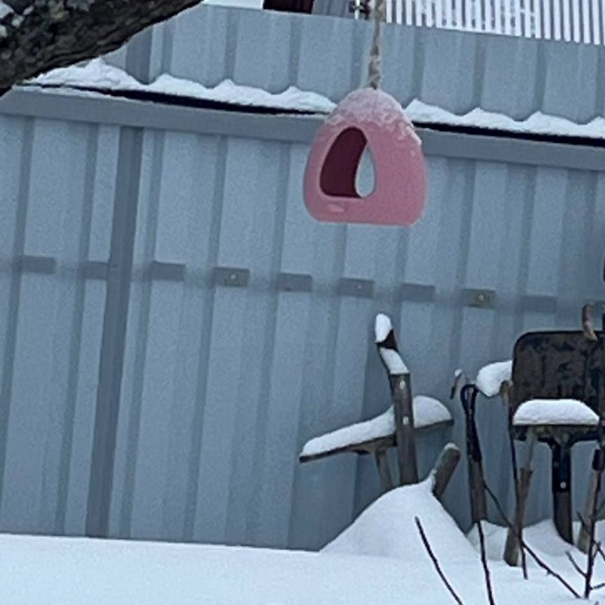 Кормушка для птиц (из пластика)