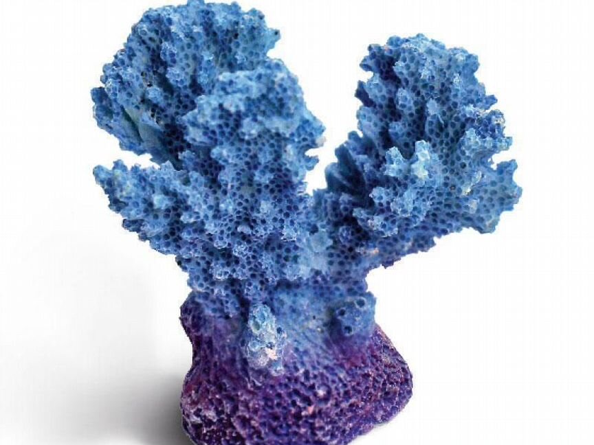 Грот, коралл искусственный LD2913 Акропора мини, 5