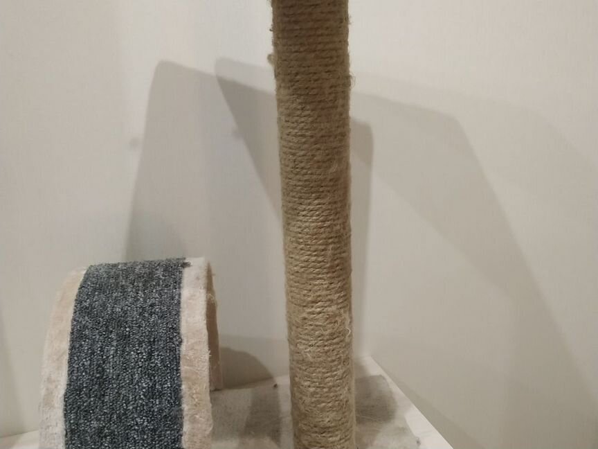 Когтеточка для котенка бу