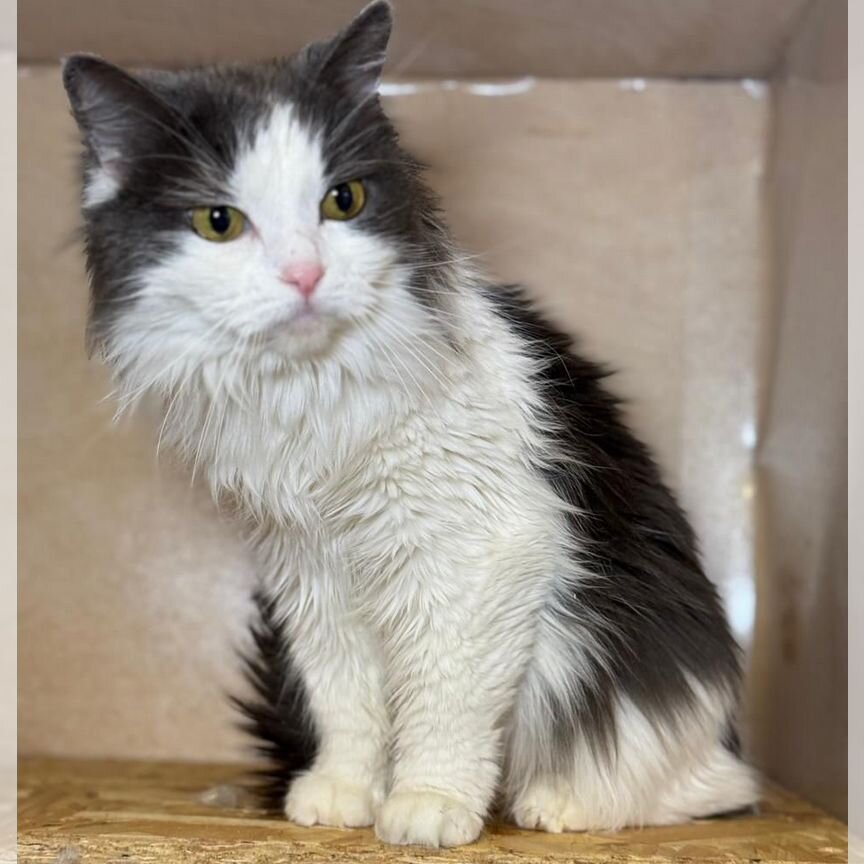 Сказка в добрые руки