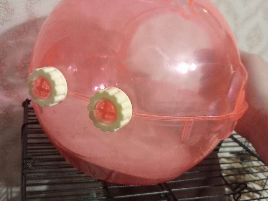 Купалка ванночка для шиншиллы