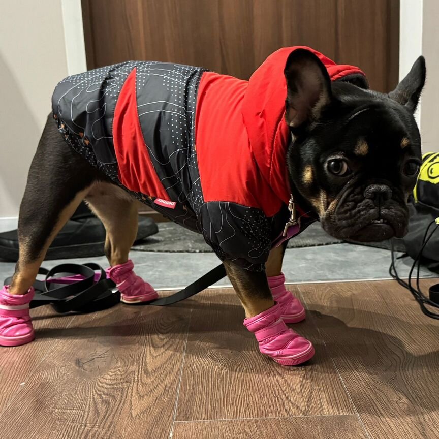 Зимняя куртка для собак