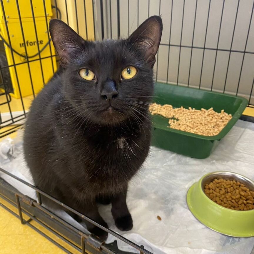 Малышка Жасмин хочет домой